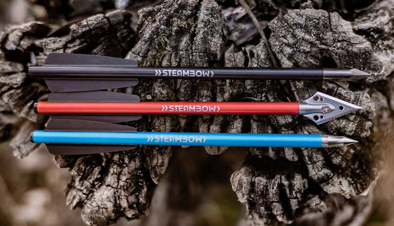 AR-6 Stinger II Tactical – Steambow Inc